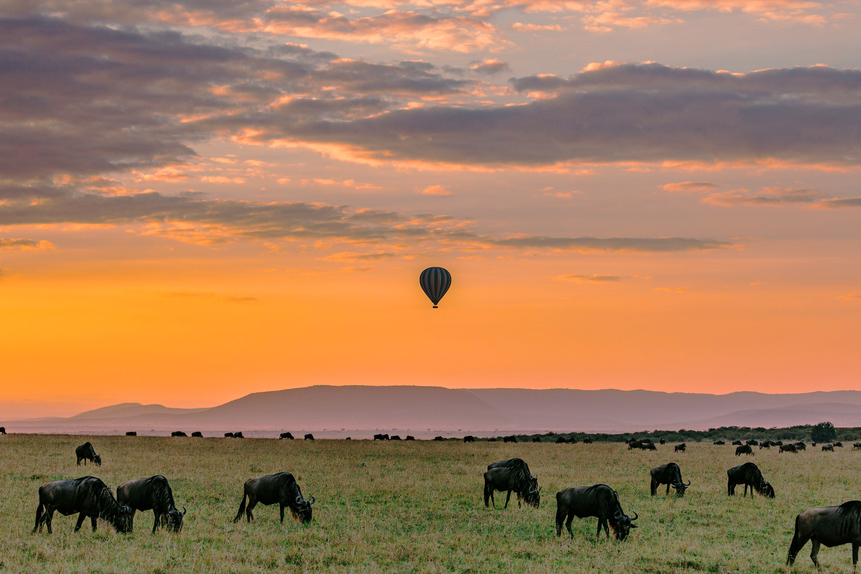 serengeti-national-park1 | Safari Infinity | Tanzania, Africa